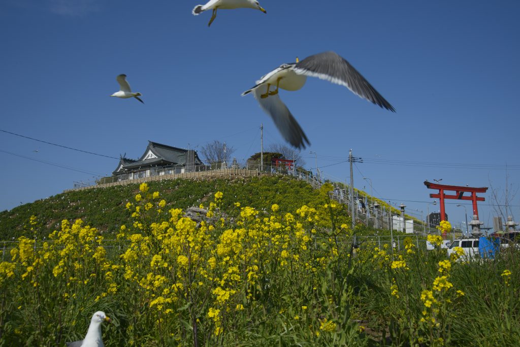 Top 8 Things To Do in Hachinohe | Visit Hachinohe ｜The Offical Guide to ...