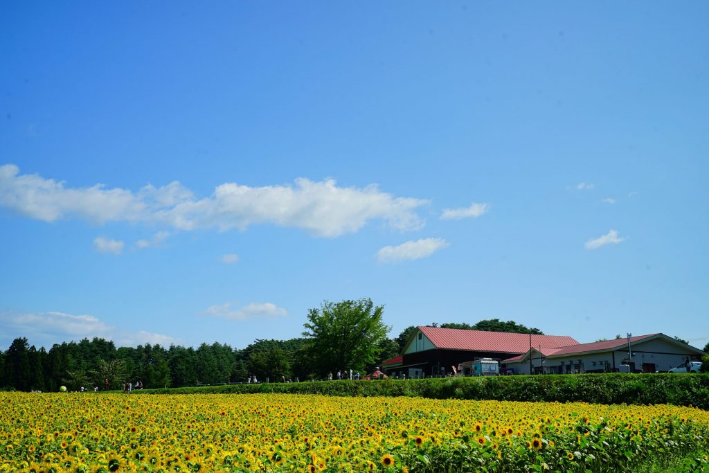 Visit Hachinohe ｜The Offical Guide to Hachinohe, Japan