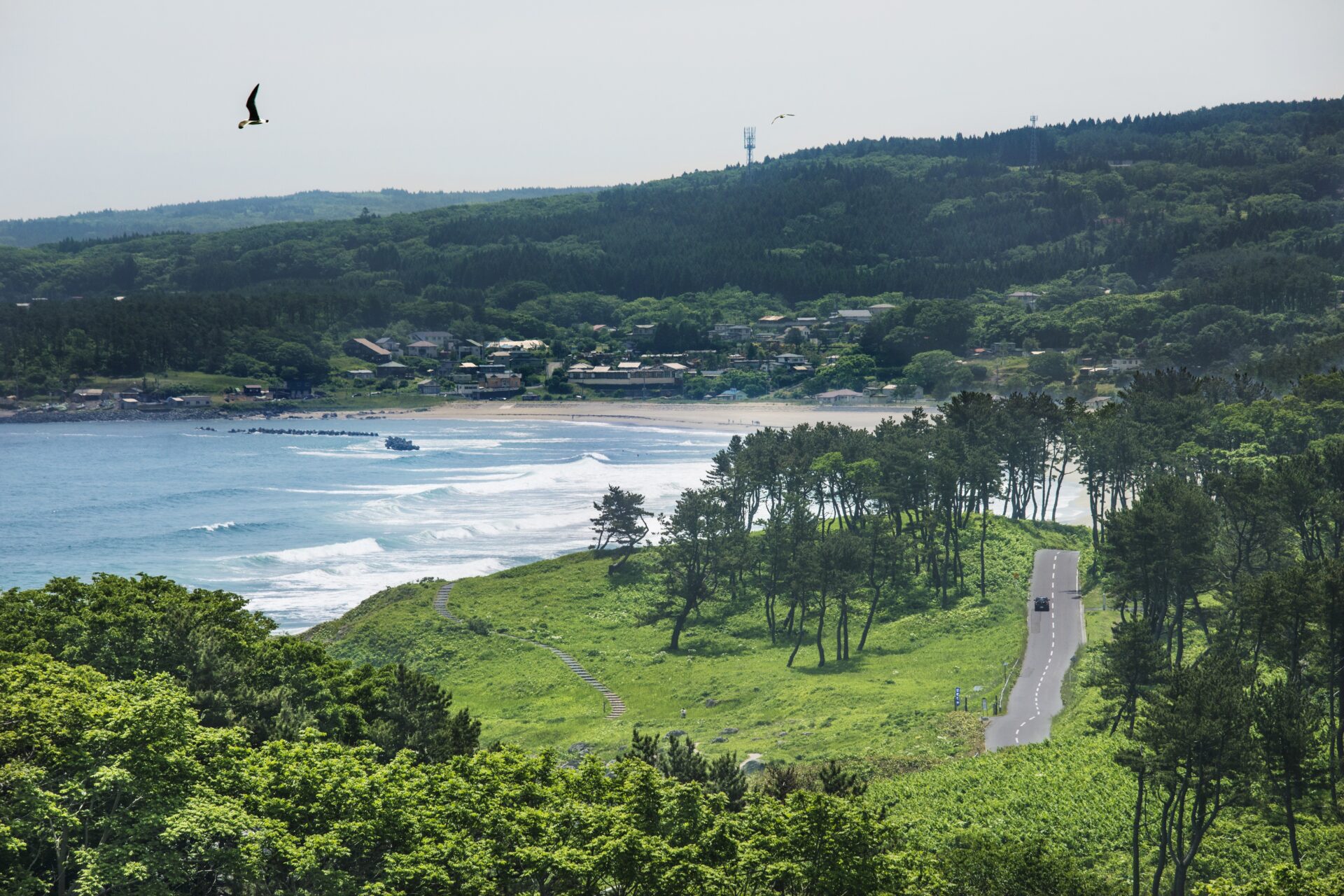 The Best of August in the Hachinohe Area | Visit Hachinohe ｜The Offical ...