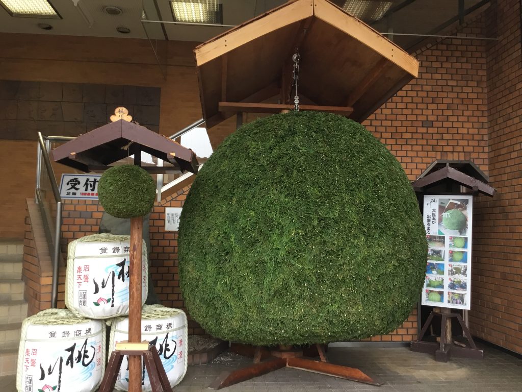 The Momokawa Sake Brewery Tour | Visit Hachinohe ｜The Offical Guide to ...